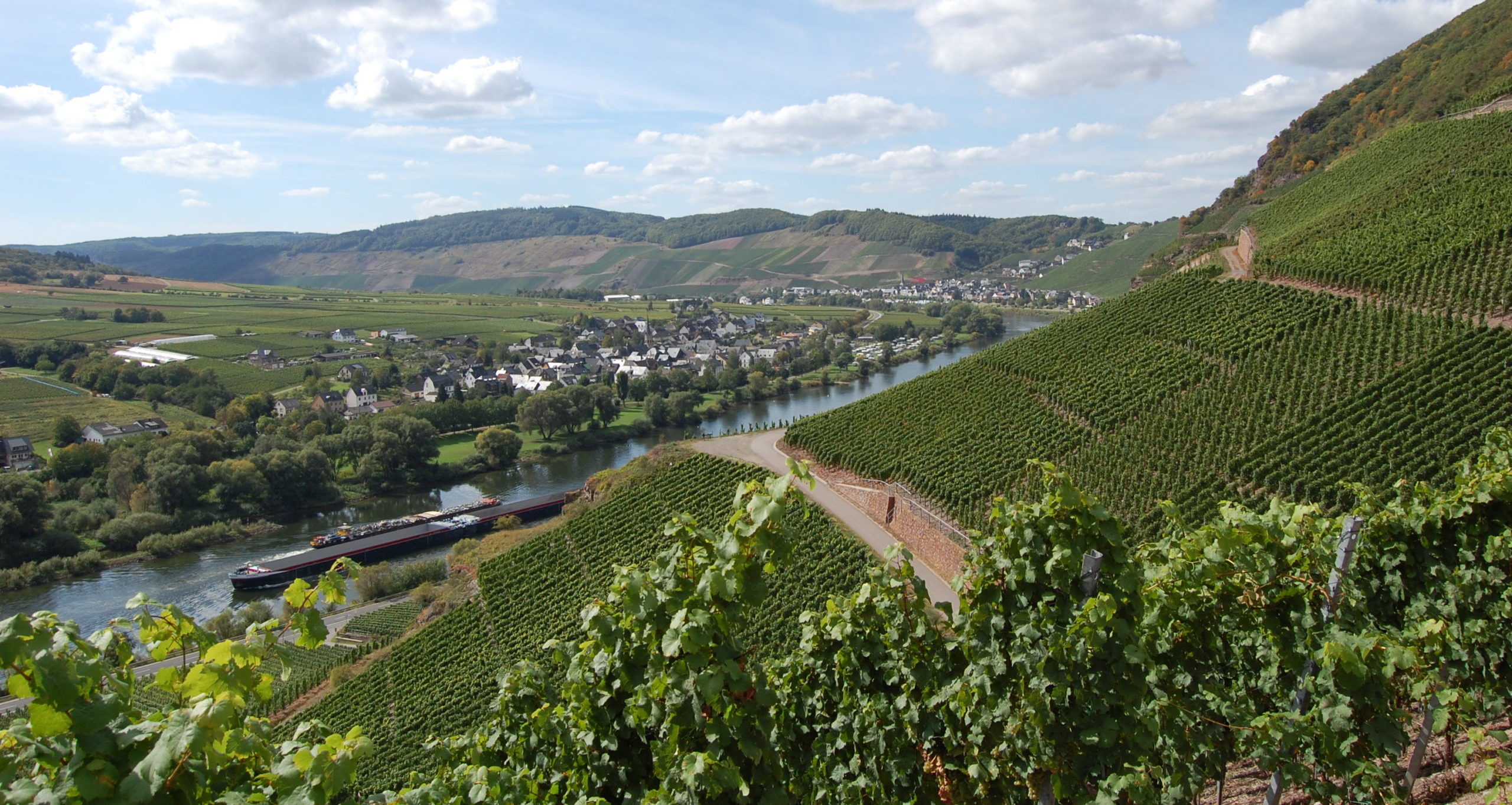 Weinort Erden an der Mosel